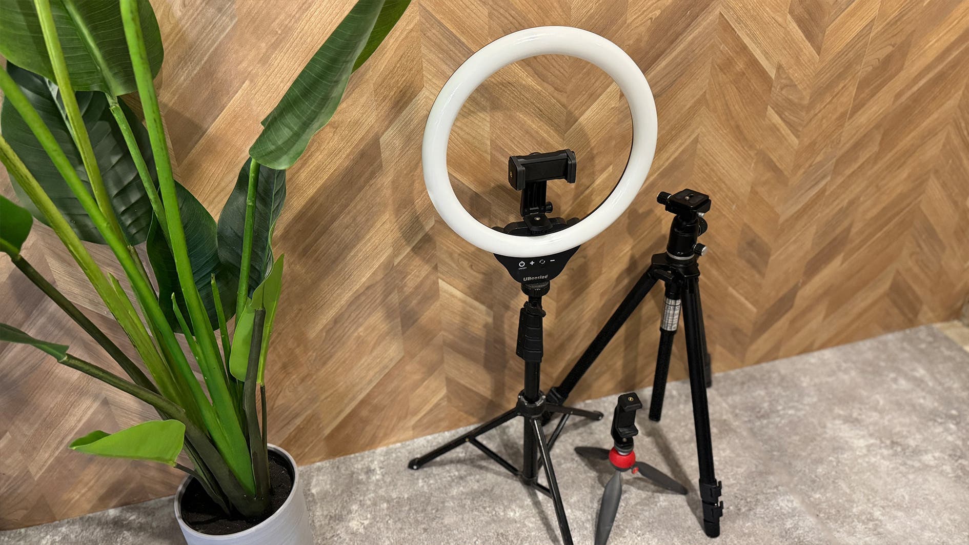 【ミーティングルーム】駅近5分 隠れ家カフェラウンジ☕️コーヒー無料/高速Wi-Fi/専用コンセントの写真18