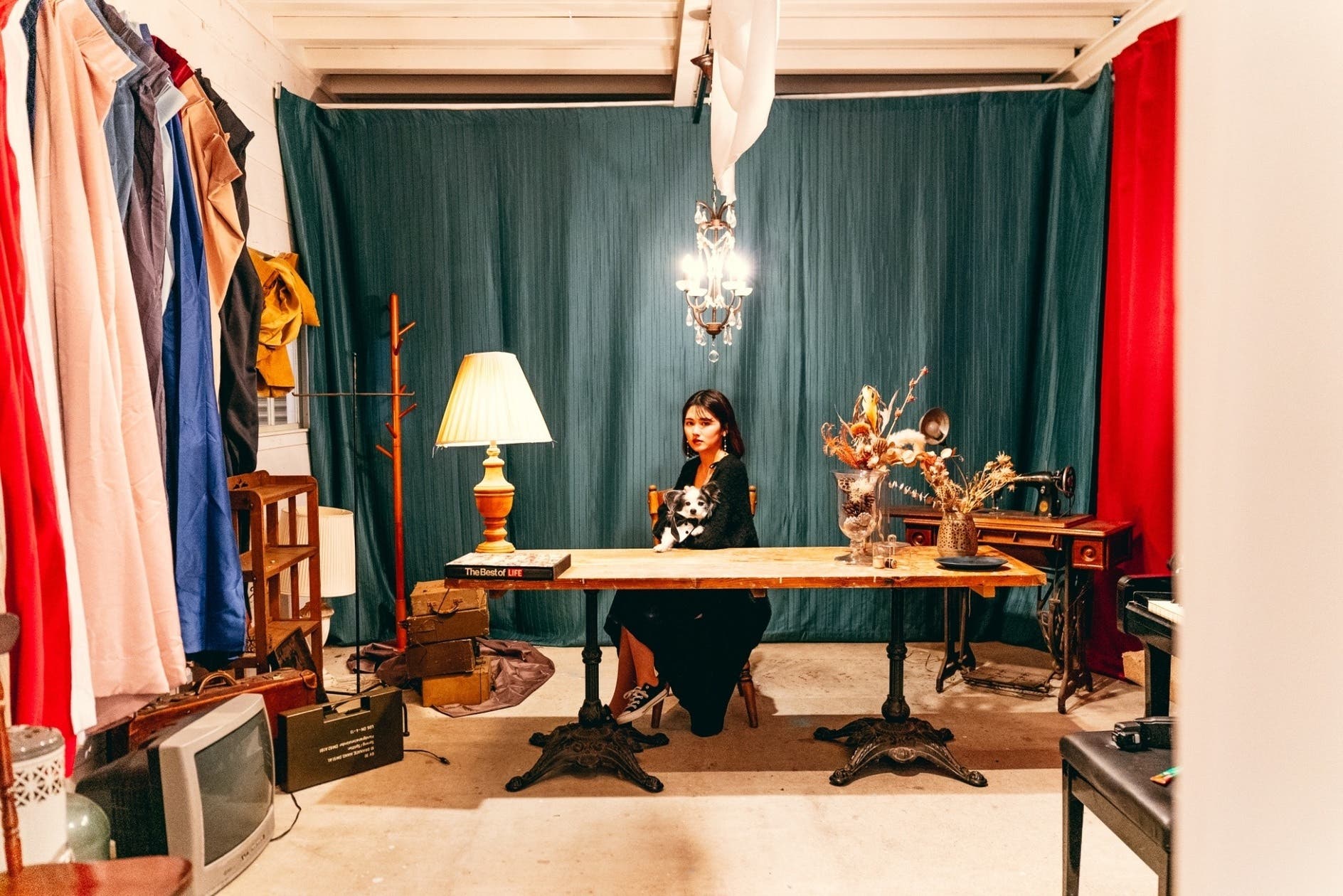 ペット可、撮影、MV、前撮り、七五三、ワークショップ、ポップアップ、講習などでの写真1