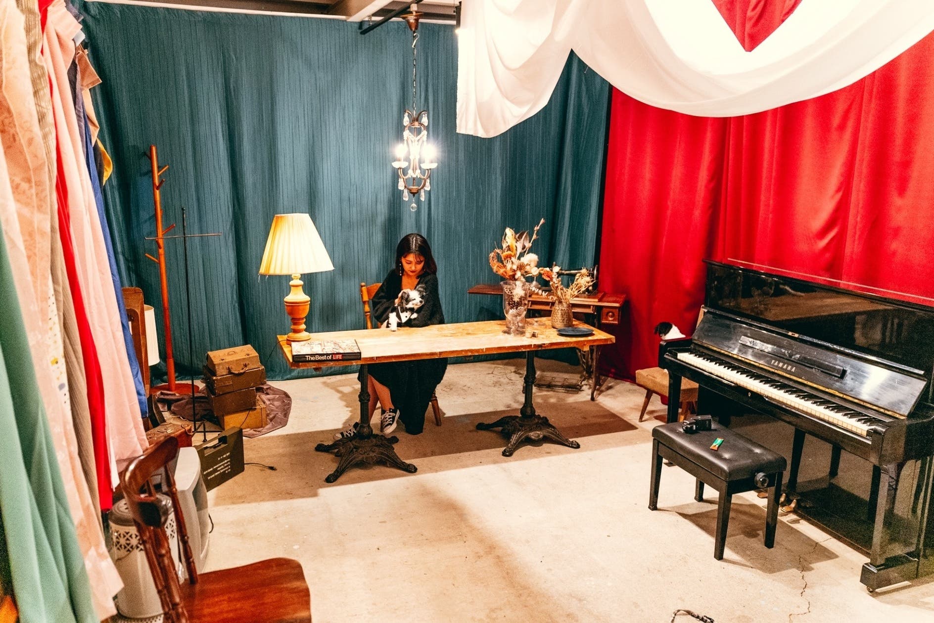 ペット可、撮影、MV、前撮り、七五三、ワークショップ、ポップアップ、講習などでの写真2