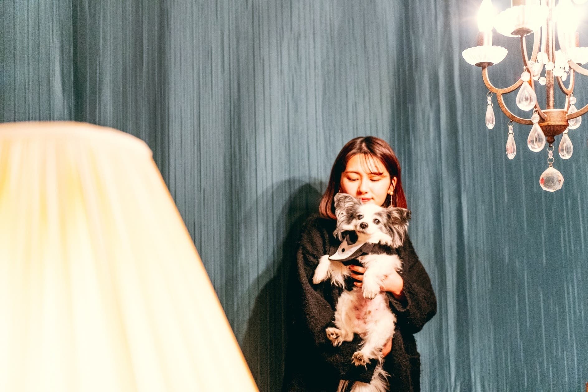 ペット可、撮影、MV、前撮り、七五三、ワークショップ、ポップアップ、講習などでの写真11