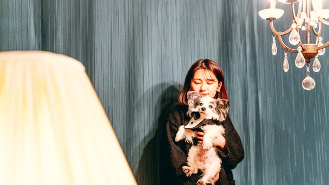 ペット可、撮影、MV、前撮り、七五三、ワークショップ、ポップアップ、講習などでの写真11