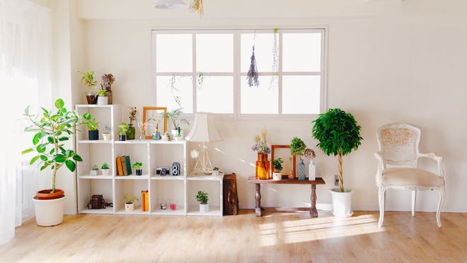 新宿駅近/23畳/3面採光/無料機材豊富✨【SOALA】広い南向の自然光スペース/ロケ撮影・配信/YouTube/コスプレの写真3