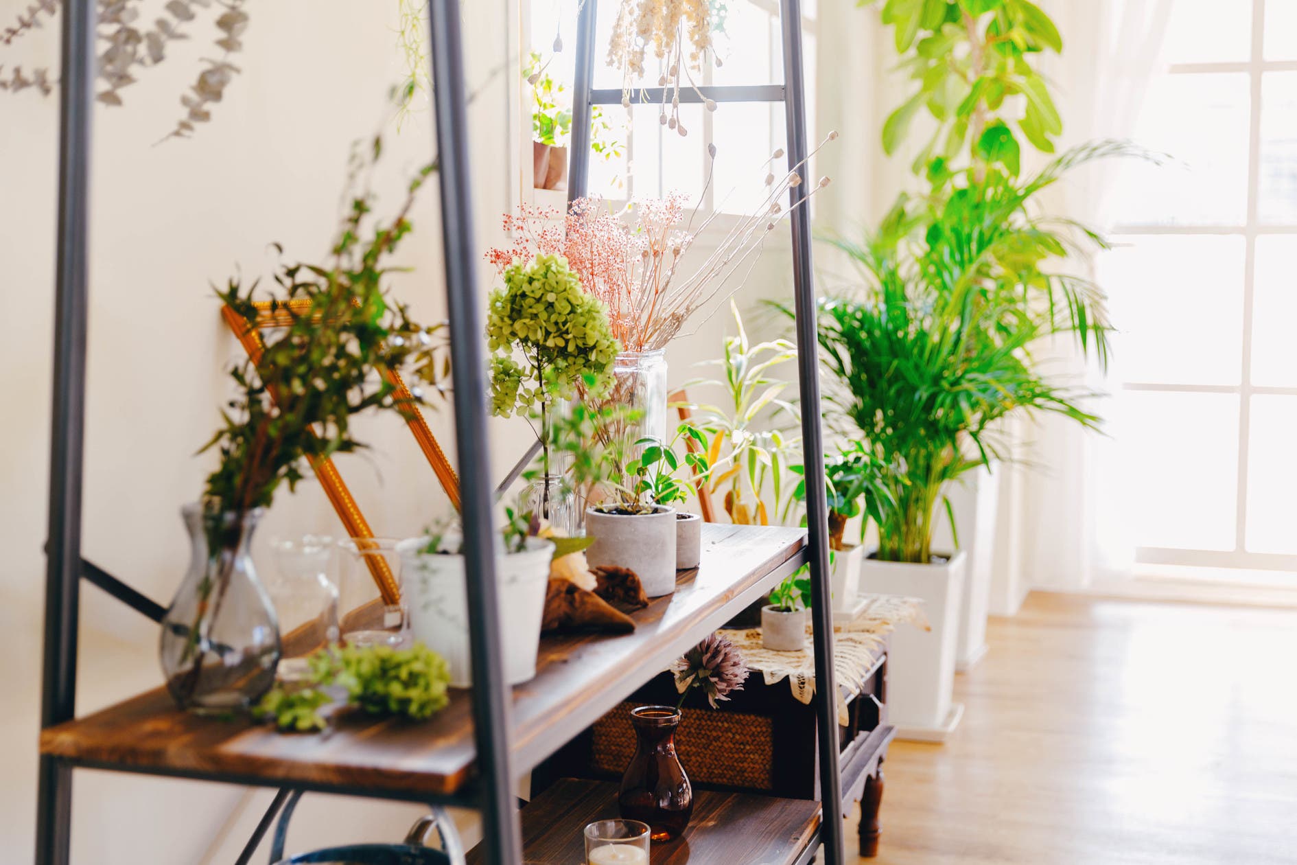 新宿駅近/23畳/3面採光/無料機材豊富✨【SOALA】広い南向の自然光スペース/ロケ撮影・配信/YouTube/コスプレの写真6