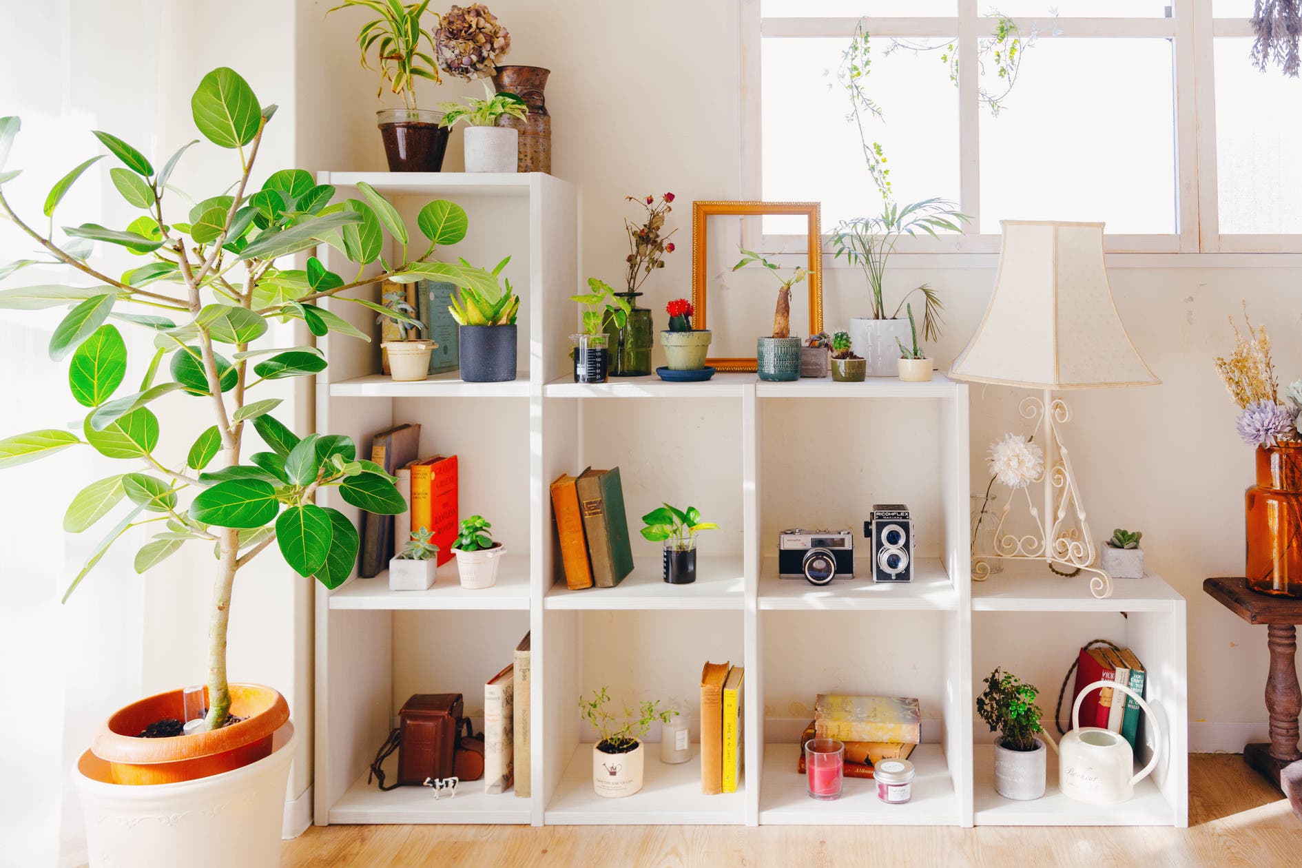 新宿駅近/23畳/3面採光/無料機材豊富✨【SOALA】広い南向の自然光スペース/ロケ撮影・配信/YouTube/コスプレの写真8