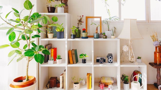 新宿駅近/23畳/3面採光/無料機材豊富✨【SOALA】広い南向の自然光スペース/ロケ撮影・配信/YouTube/コスプレの写真8