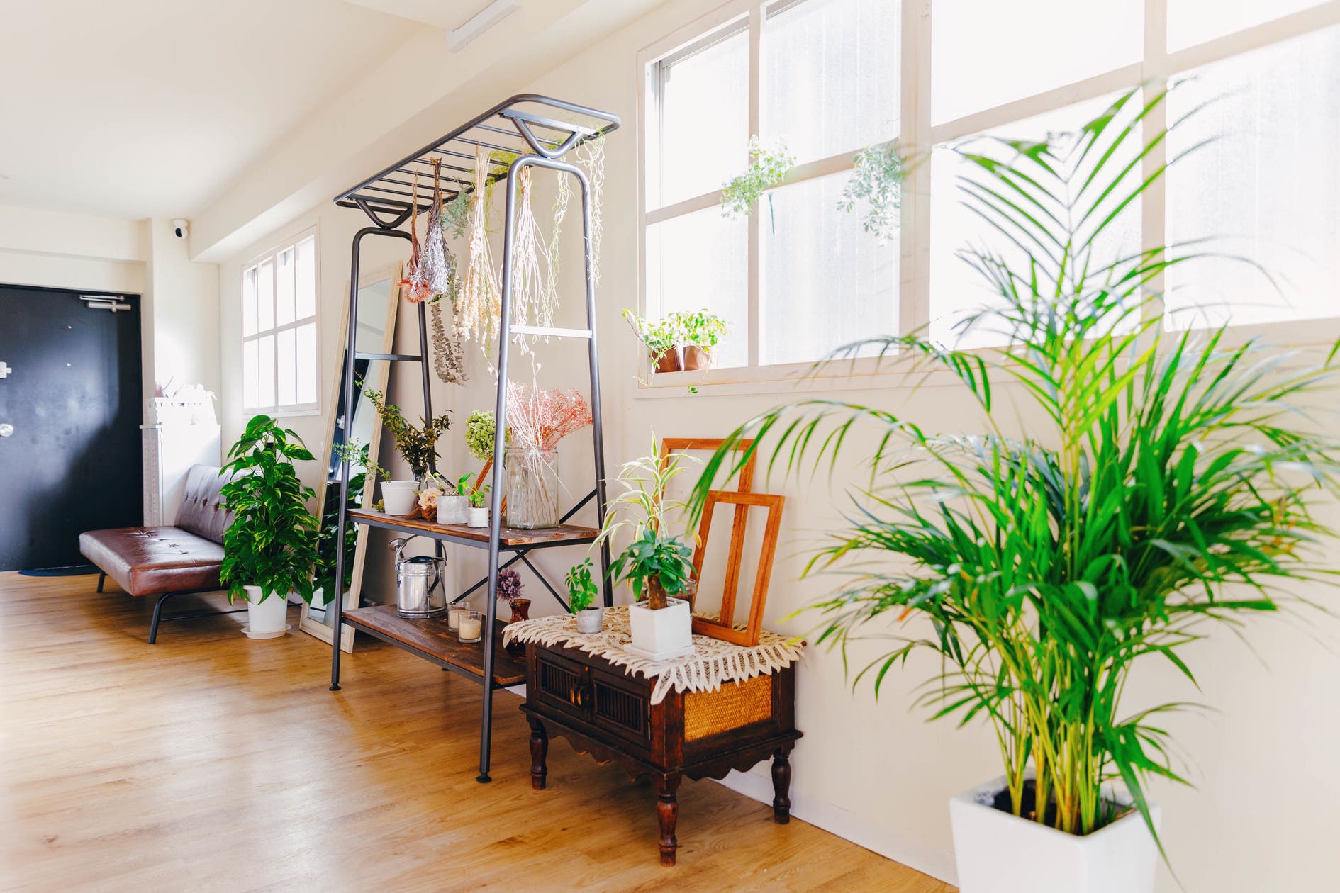 新宿駅近/23畳/3面採光/無料機材豊富✨【SOALA】広い南向の自然光スペース/ロケ撮影・配信/YouTube/コスプレの写真10