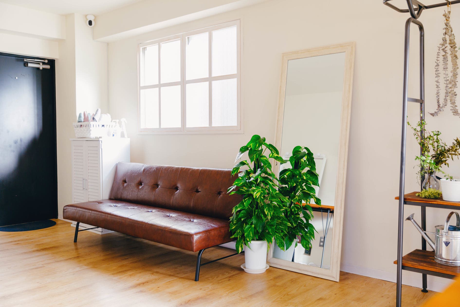 新宿駅近/23畳/3面採光/無料機材豊富✨【SOALA】広い南向の自然光スペース/ロケ撮影・配信/YouTube/コスプレの写真13