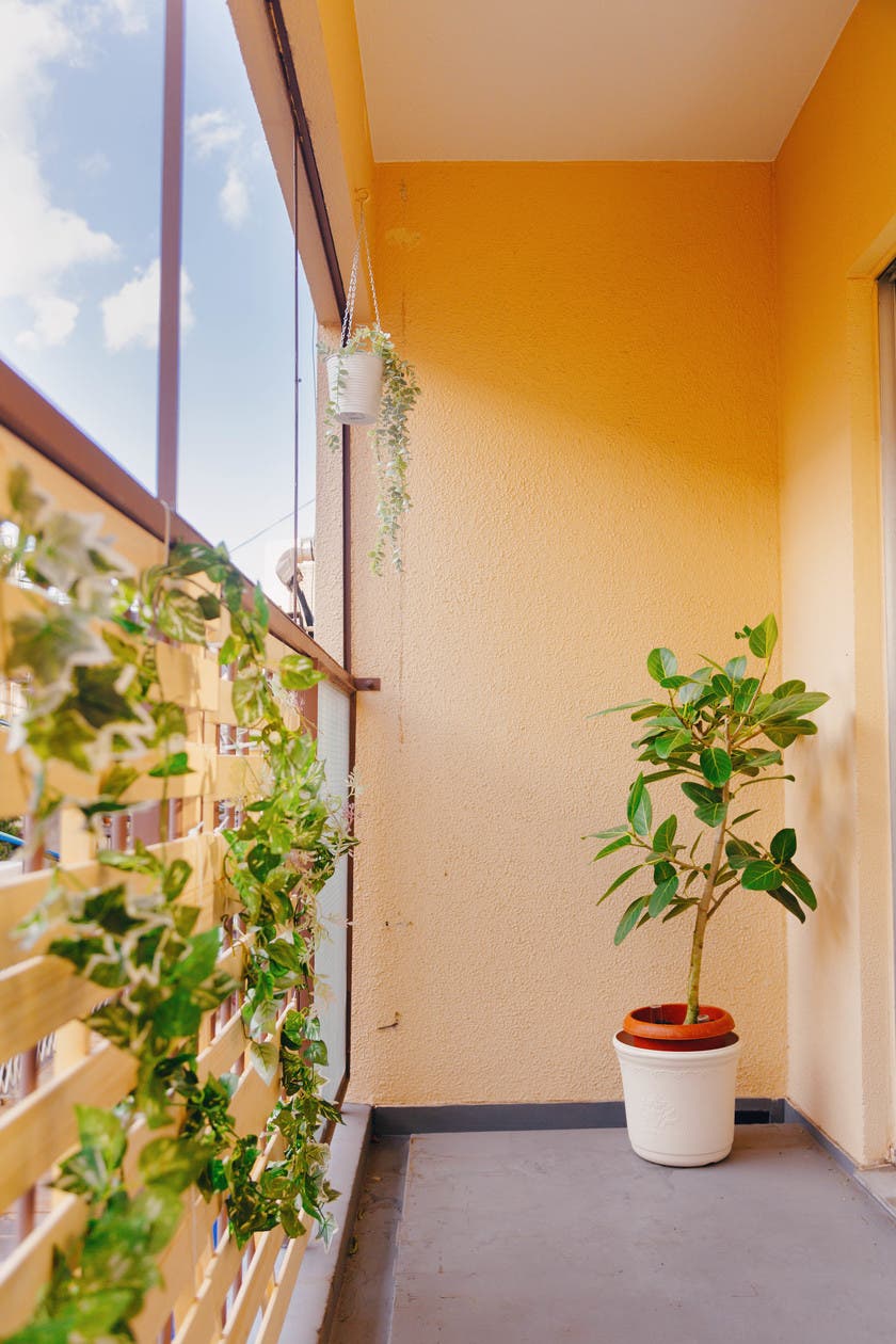 新宿駅近/23畳/3面採光/無料機材豊富✨【SOALA】広い南向の自然光スペース/ロケ撮影・配信/YouTube/コスプレの写真18