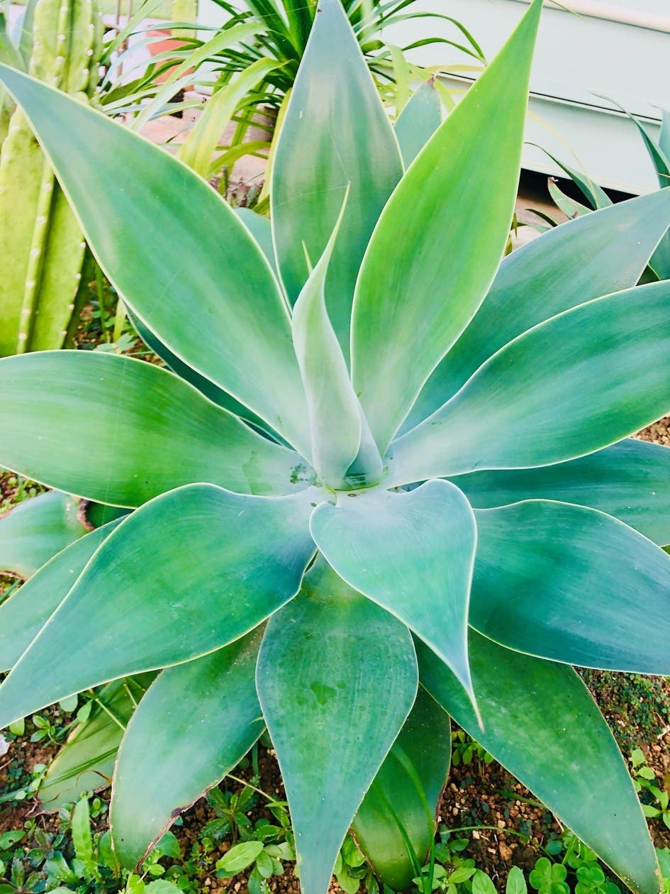 自然光がたっぷり入る真白な広々リビングが印象的・撮影にもオススメ！レッスンクラスにも♪庭付き戸建ての写真24