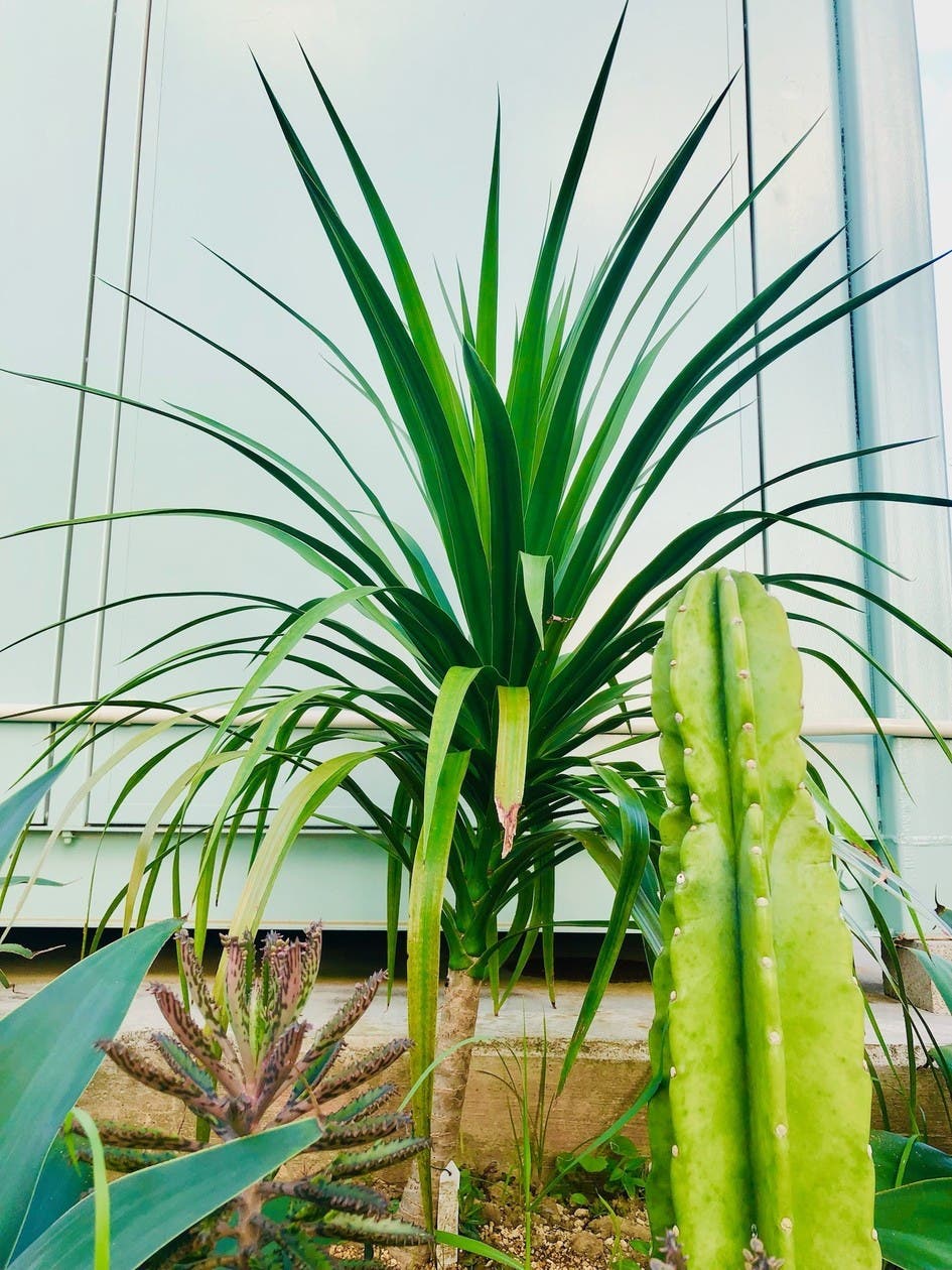 自然光がたっぷり入る真白な広々リビングが印象的・撮影にもオススメ！レッスンクラスにも♪庭付き戸建ての写真25