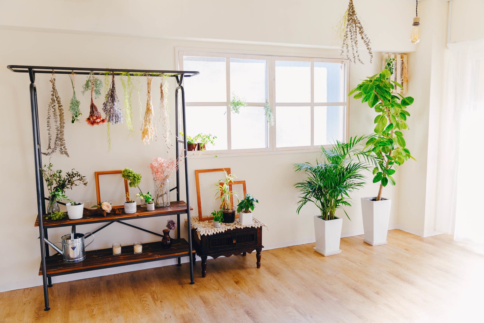 新宿駅近/23畳/3面採光/無料機材豊富✨【SOALA】広い南向の自然光スペース/ロケ撮影・配信/YouTube/コスプレの写真9