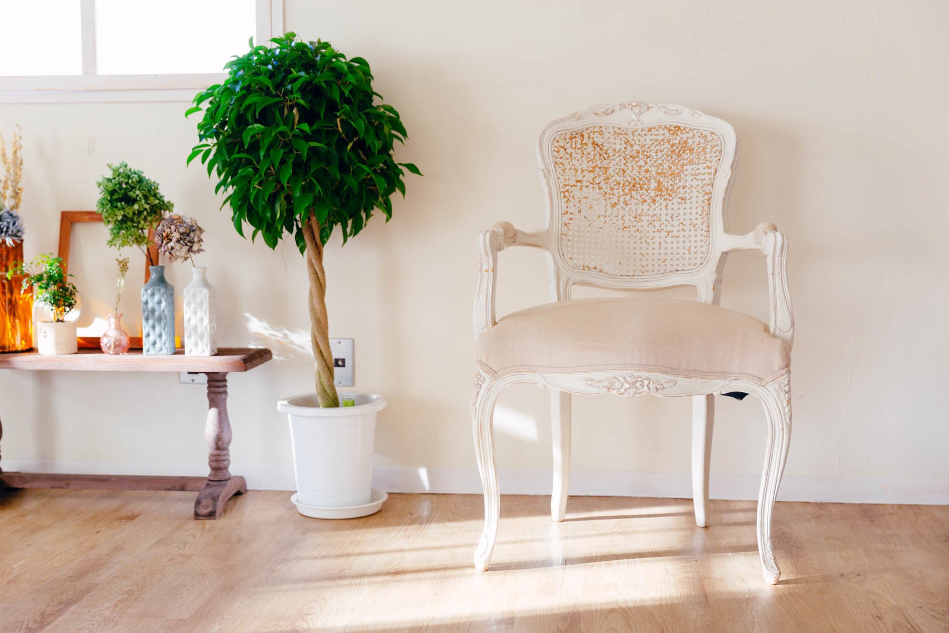 新宿駅近/23畳/3面採光/無料機材豊富✨【SOALA】広い南向の自然光スペース/ロケ撮影・配信/YouTube/コスプレの写真26