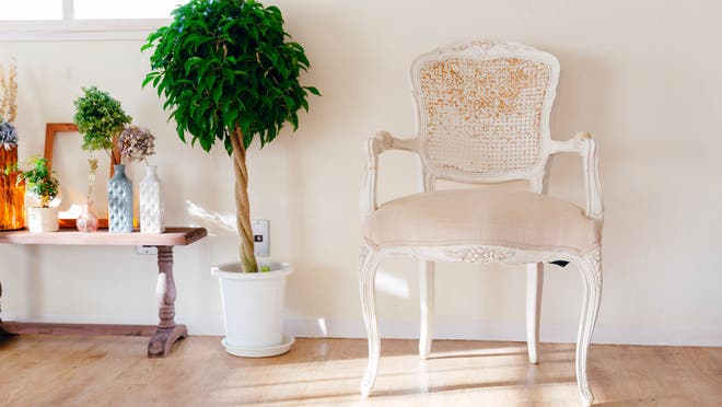 新宿駅近/23畳/3面採光/無料機材豊富✨【SOALA】広い南向の自然光スペース/ロケ撮影・配信/YouTube/コスプレの写真26