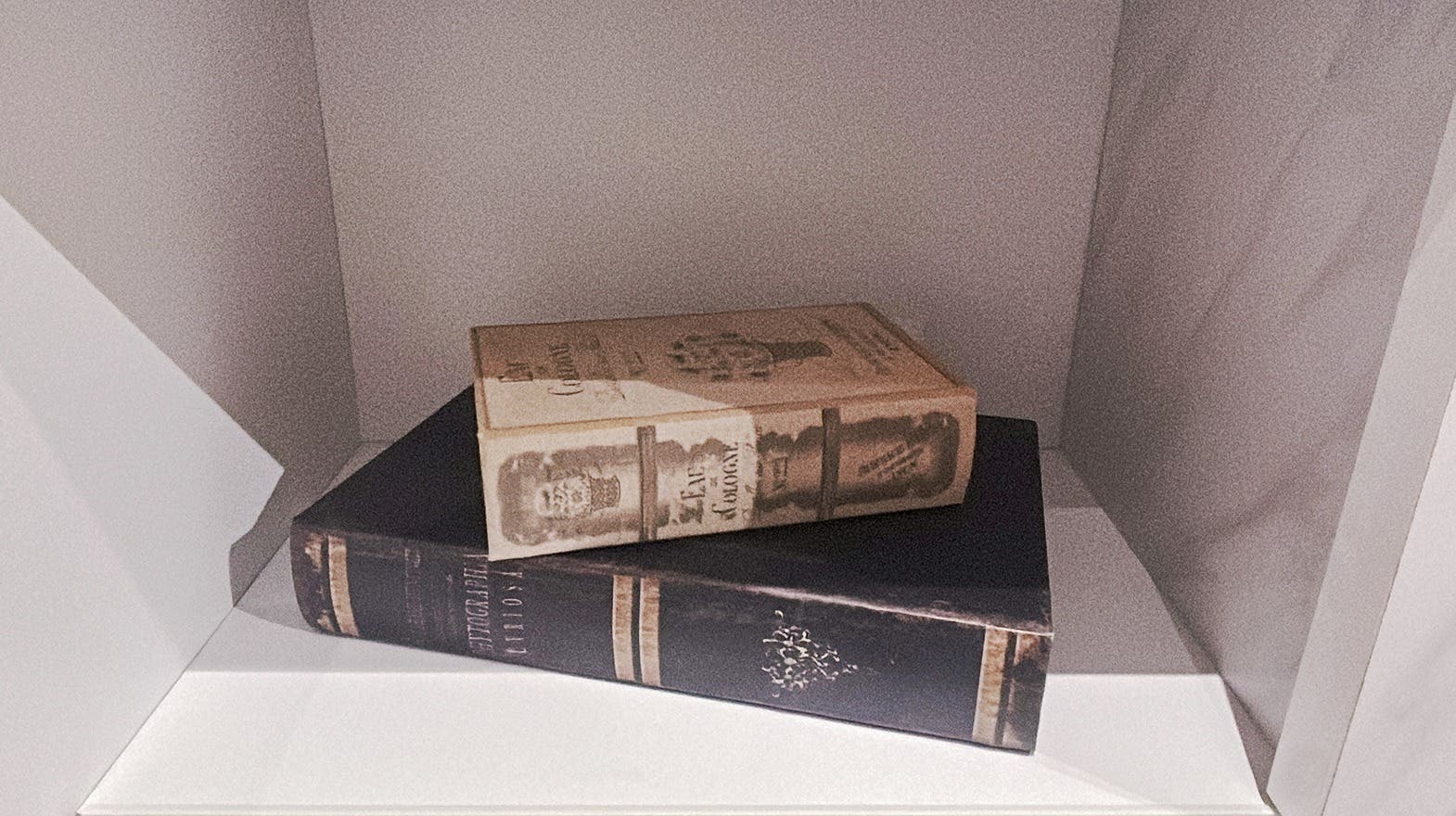 六本木駅から徒歩5分｜サロンルームのみの予約ページ｜ 各種マッサージ / 鍼灸 /占い/勉強/お仕事スペースにの写真6