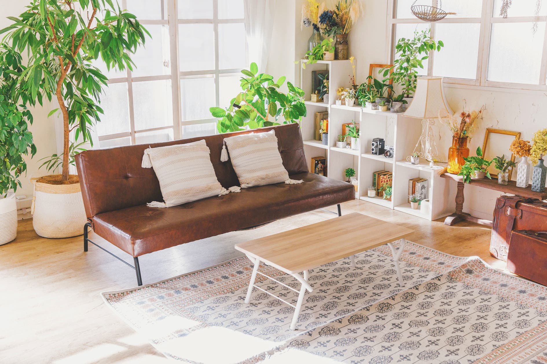 新宿駅近/23畳/3面採光/無料機材豊富✨【SOALA】広い南向の自然光スペース/ロケ撮影・配信/YouTube/コスプレの写真7