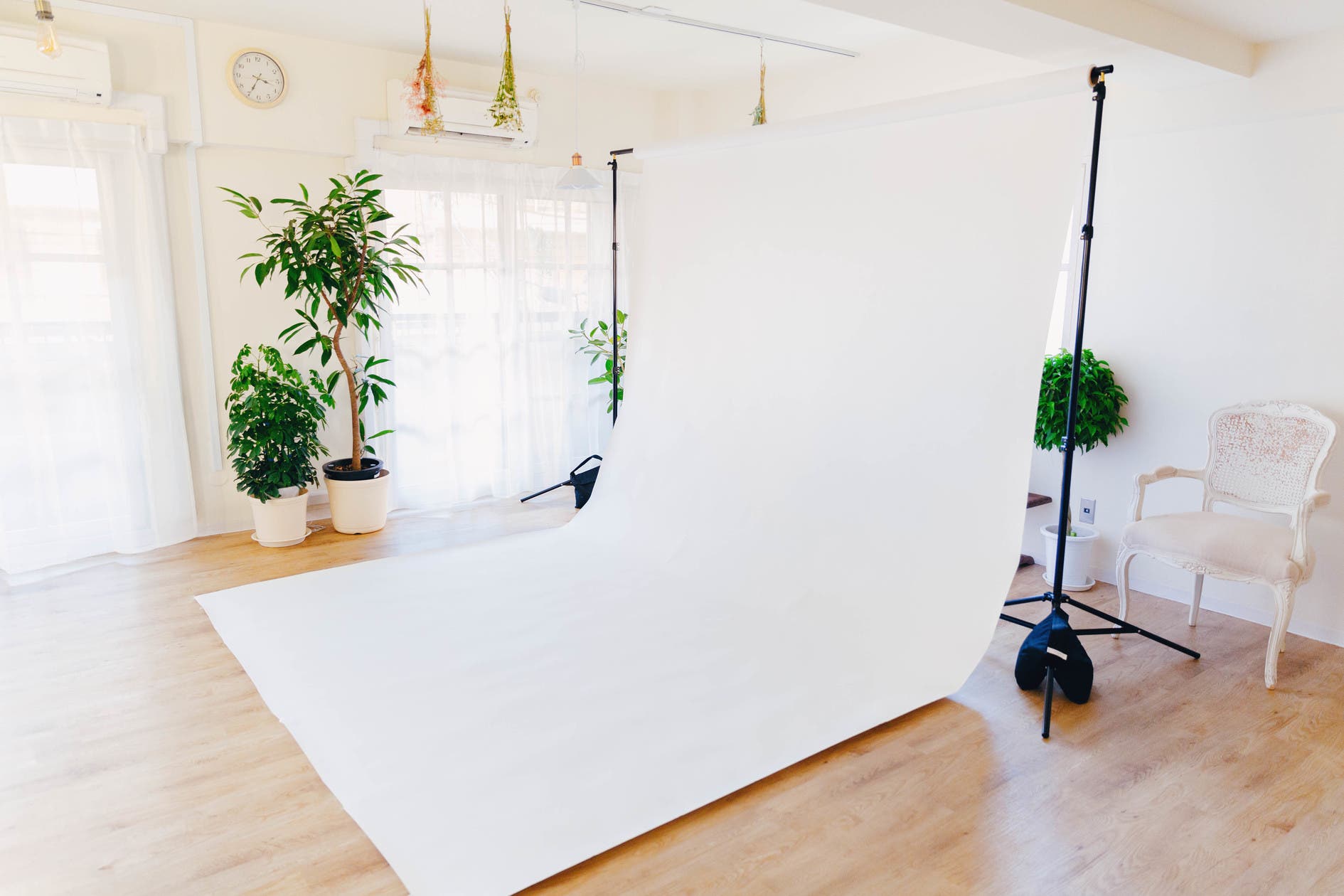 背景紙１色（白・黒・グレー・ピンク・ライトブルー・合成グリーン布から１色）の画像1