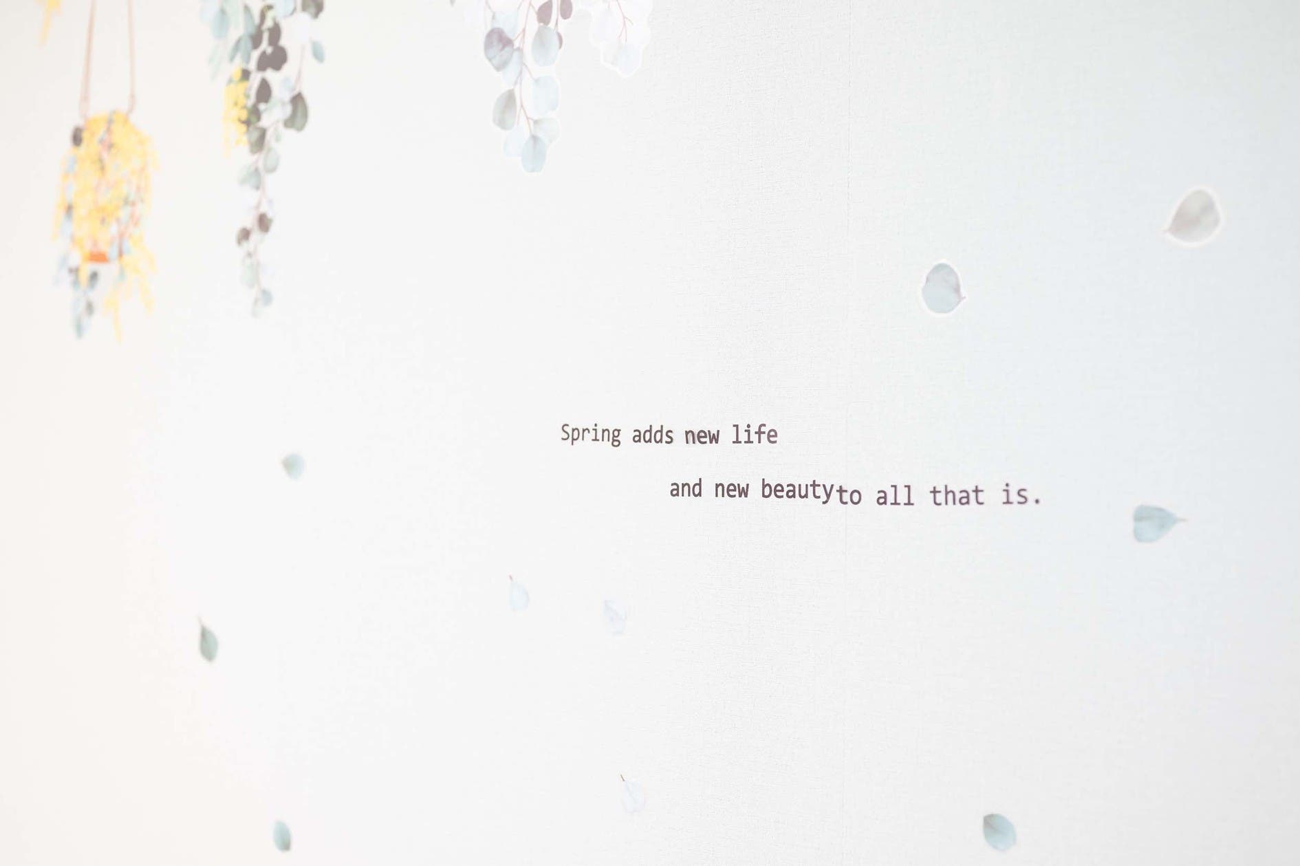 セレコレ🌳クリスマス☃️最大25名🉐駅3分🥳ゲーム機🎮女子会💗推し活🌟撮影📷パーティ🥂飲み会🍻kitty八丁堀の写真25