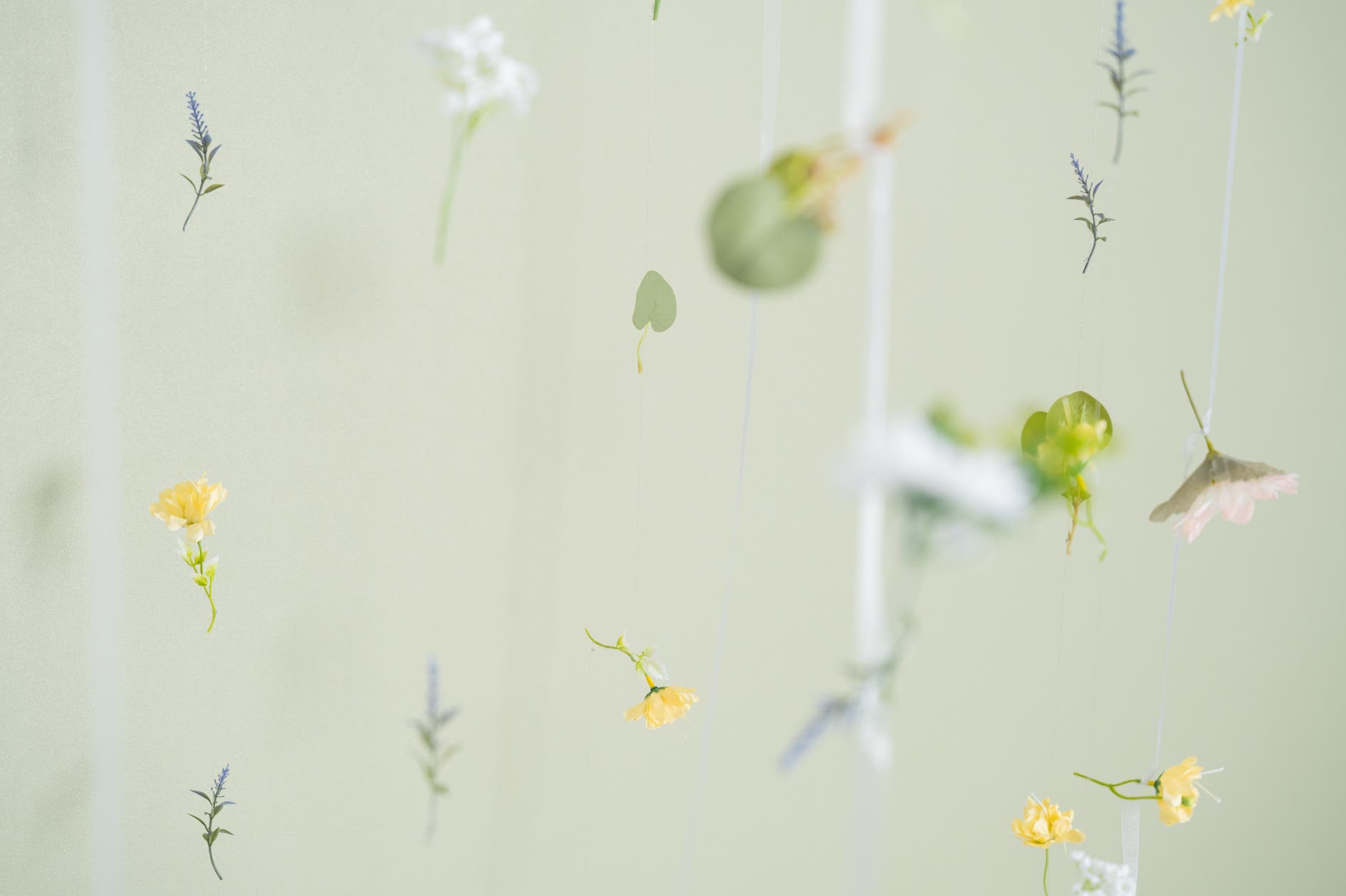 北浦和駅から徒歩8分のフォトスタジオの写真9