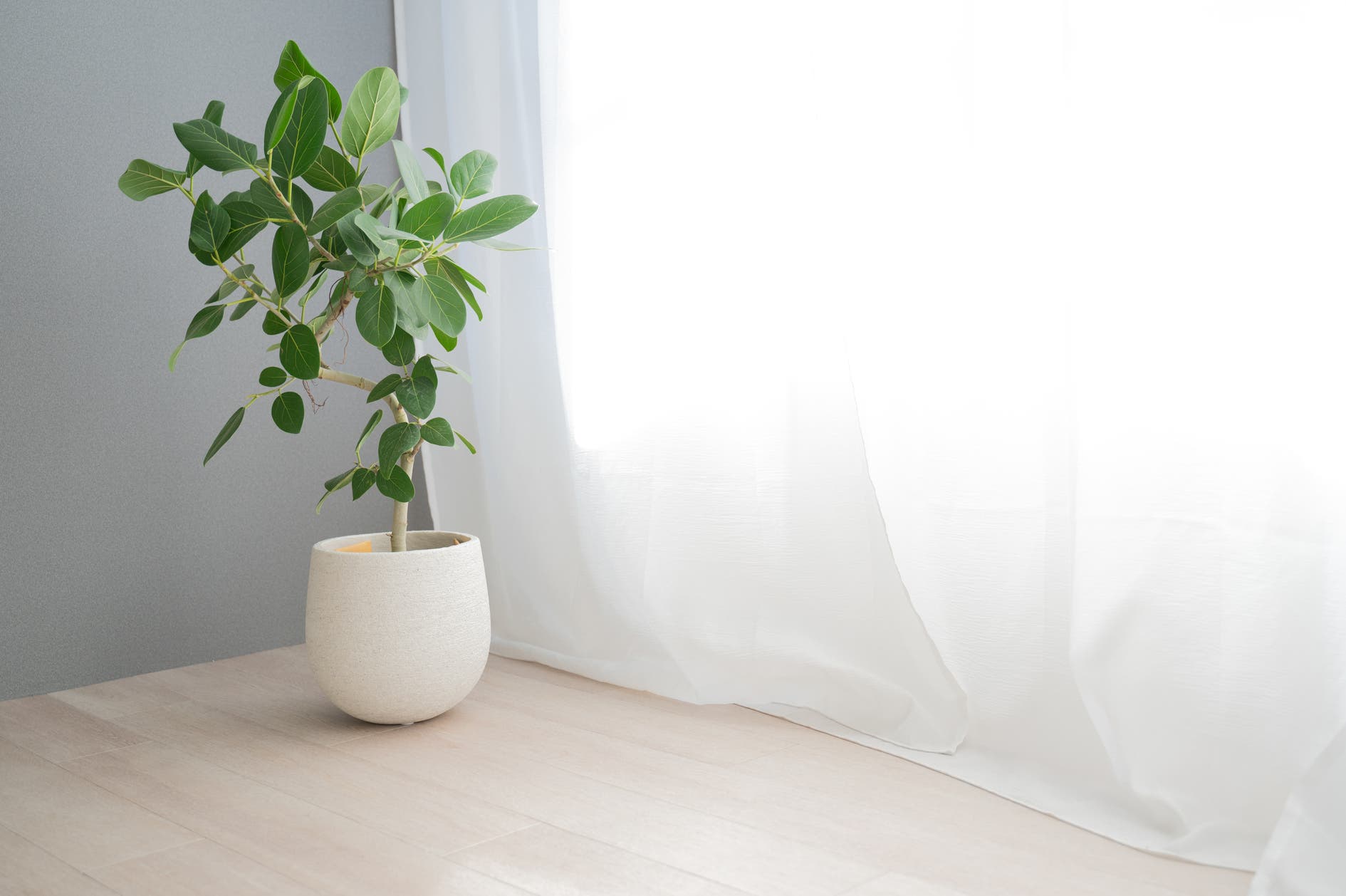 北浦和駅から徒歩8分のフォトスタジオの写真7