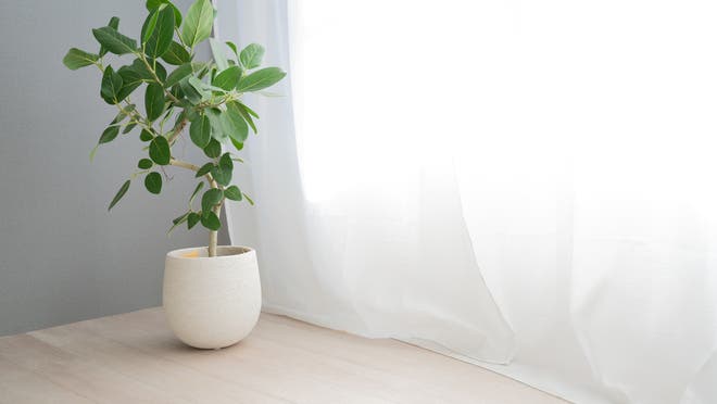 北浦和駅から徒歩8分のフォトスタジオの写真7