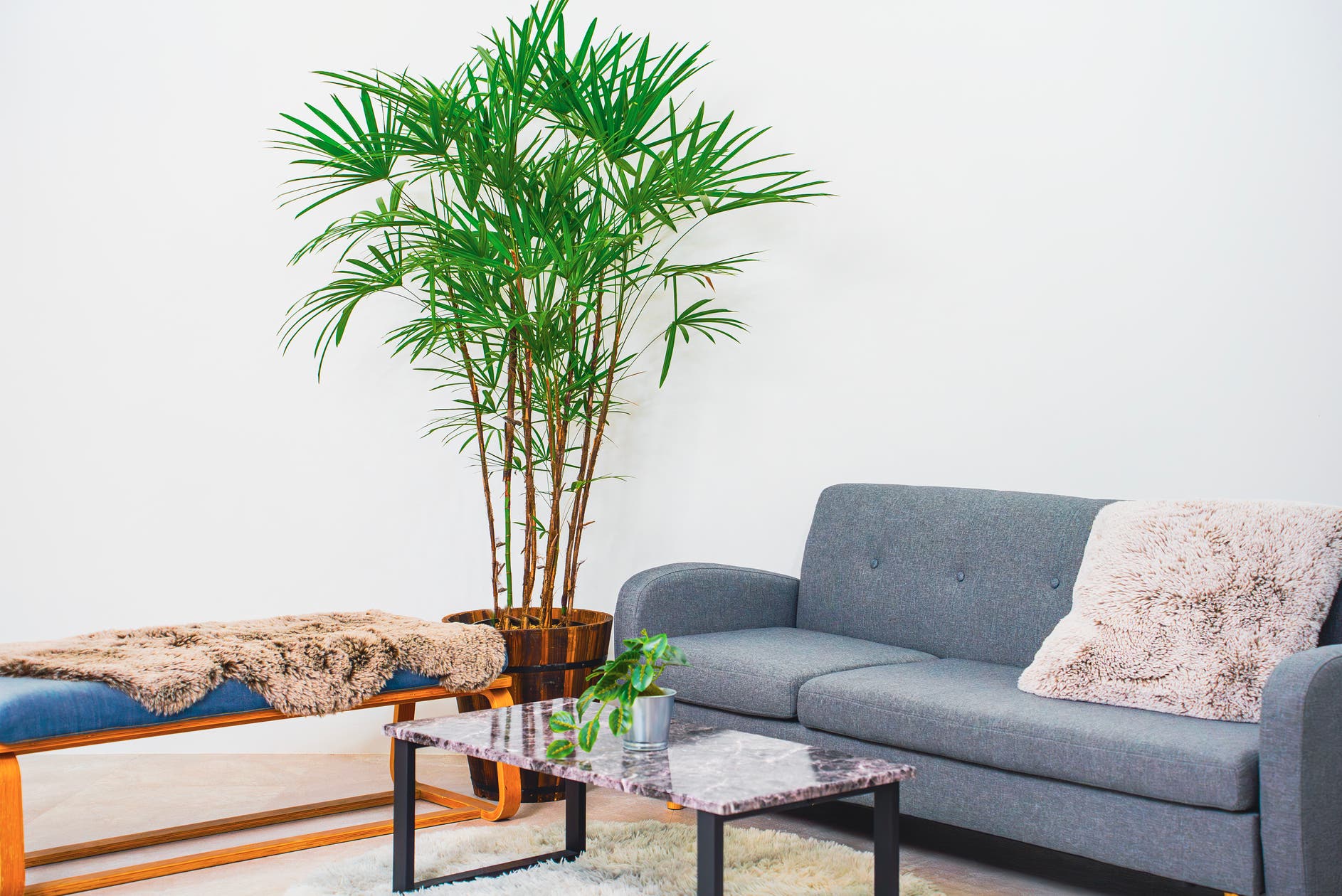 アクセス良好！大阪市西区南堀江のレンタル撮影スタジオ　【1時間〜利用可♪】　の写真6