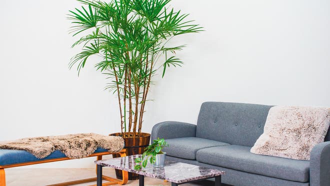 アクセス良好!大阪市西区南堀江のレンタル撮影スタジオ 【1時間〜利用可♪】 の写真6