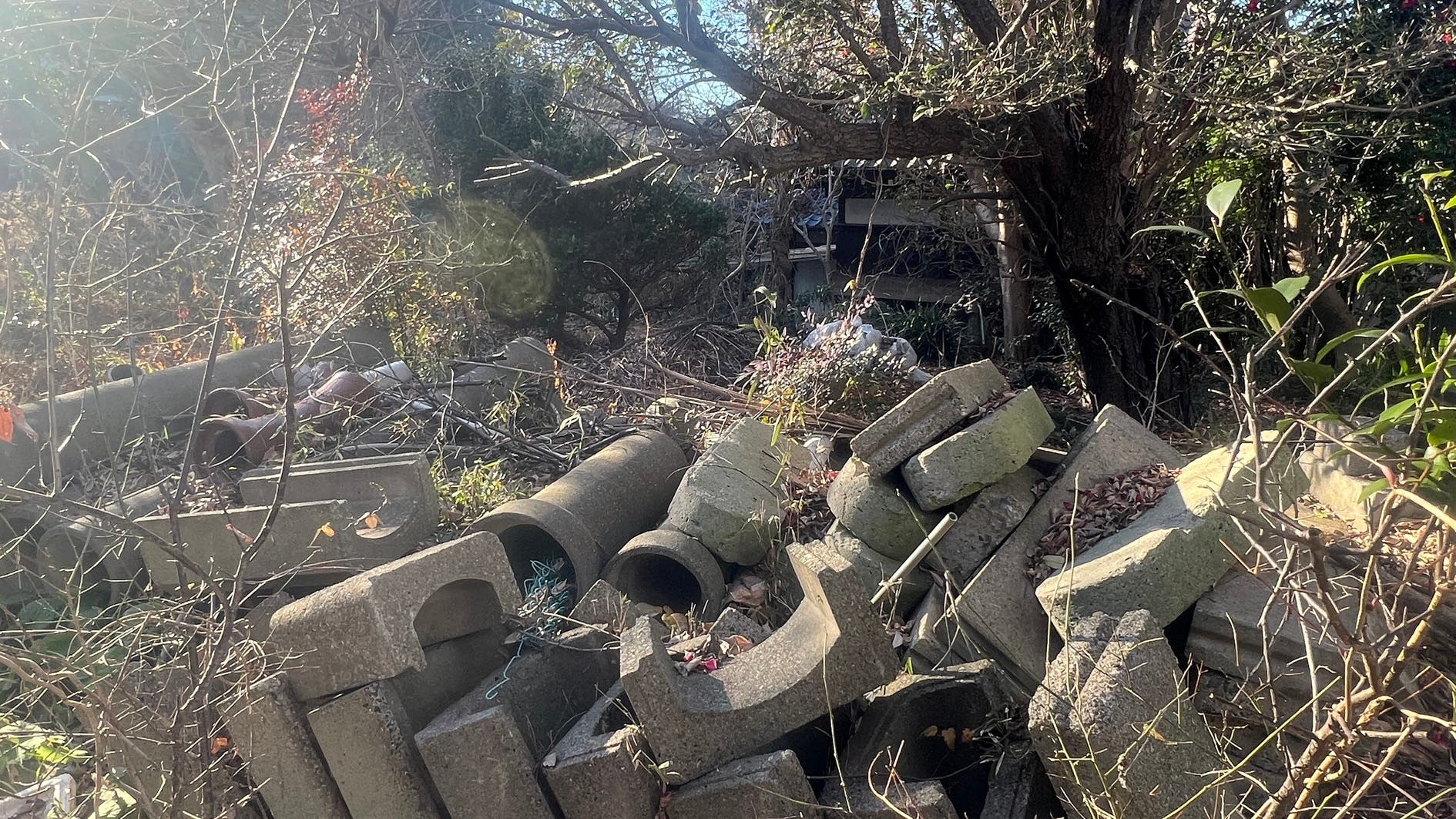 奥原邸廃屋の写真8