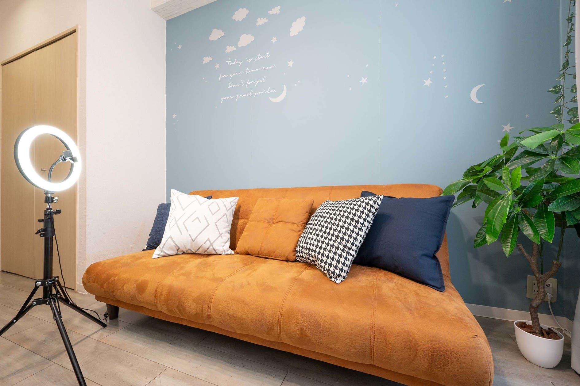 セレコレ🌳クリスマス☃️最大16名🉐池袋駅5分🥳ドンキ3分🐧ゲーム機🎮女子会💗推し活🌟パーティ🥂diary池袋の写真22