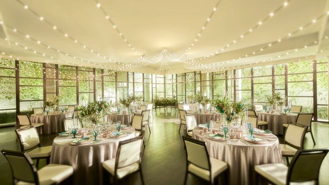 【パラッツォ ドゥカーレ麻布】ラ フォレスタ(B1)の写真1