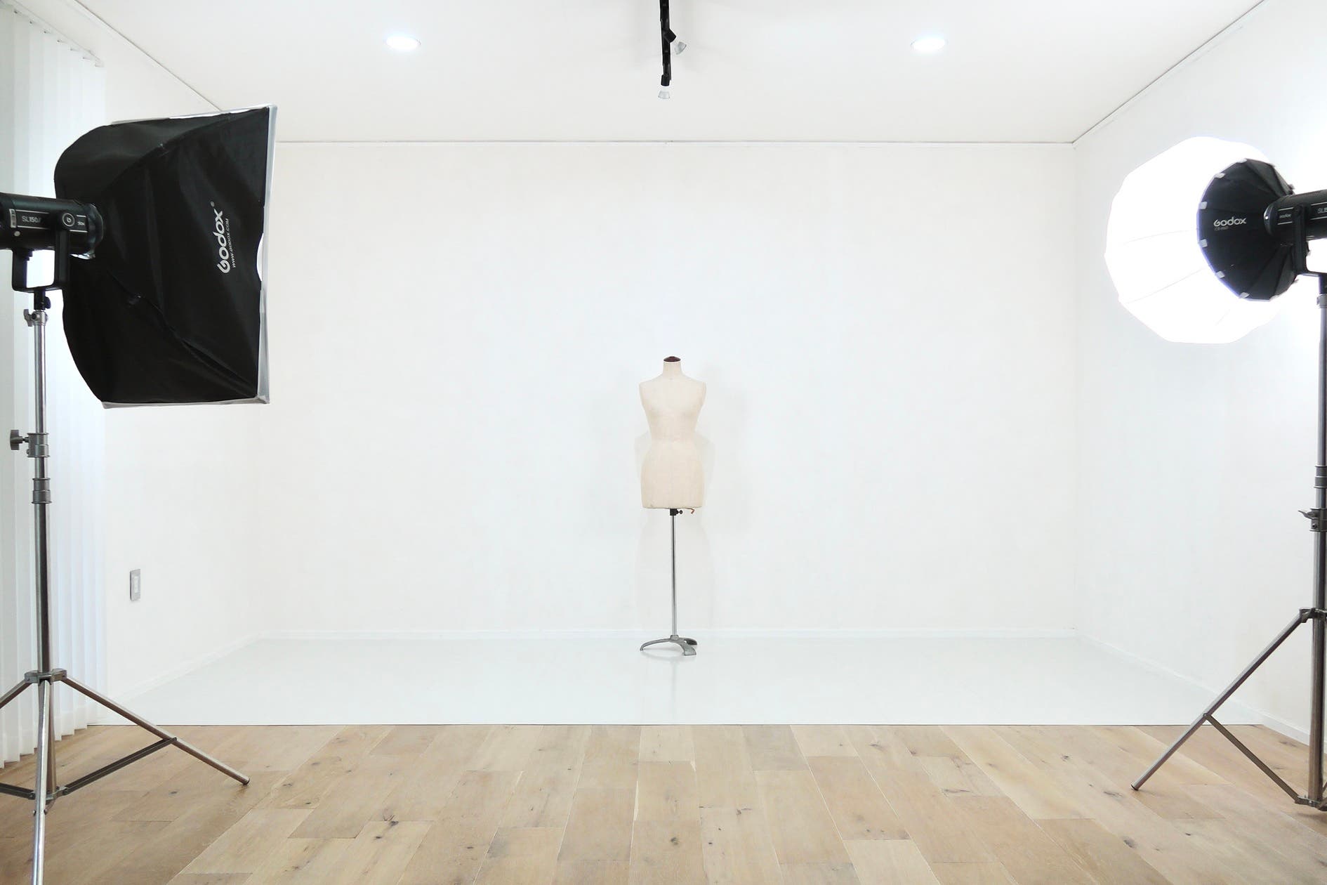 定常光LEDライト1台　(レビュー投稿で無料キャンペーン中)の画像3