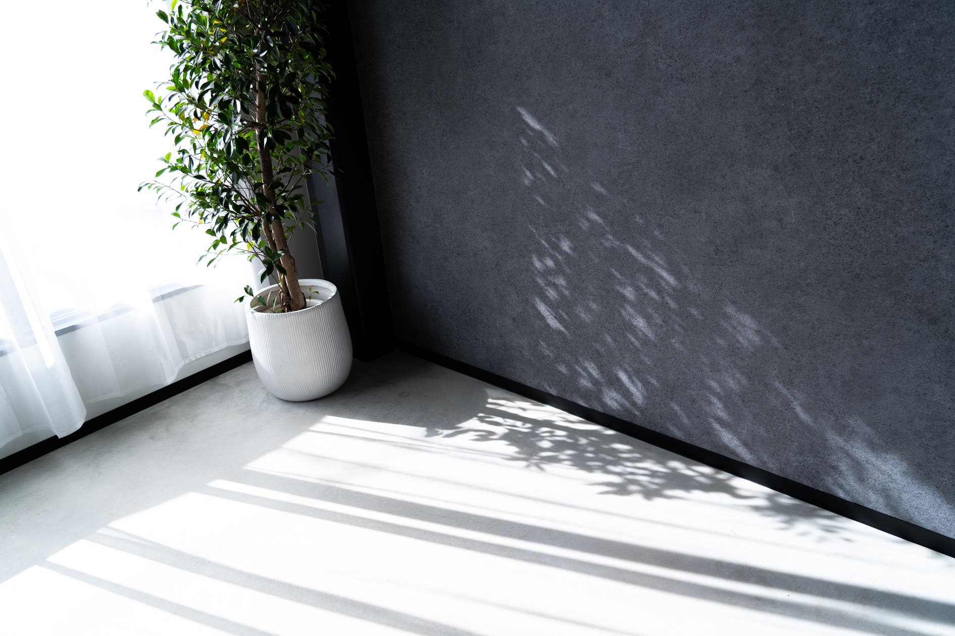 【無料駐車場付きペット可撮影スタジオ】大きな窓/自然光/モルタル調ホリゾント壁/家族写真・MV撮影・ポートレート・撮影会の写真17