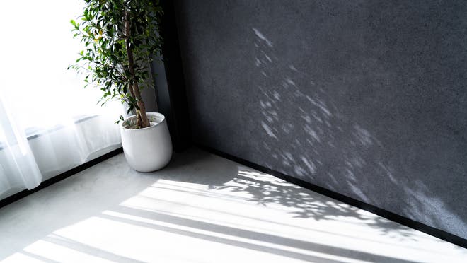 【無料駐車場付きペット可撮影スタジオ】大きな窓/自然光/モルタル調ホリゾント壁/家族写真・MV撮影・ポートレート・撮影会の写真17