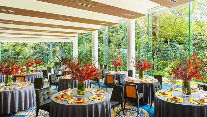 【辻家庭園】箔(HAKU)の写真1