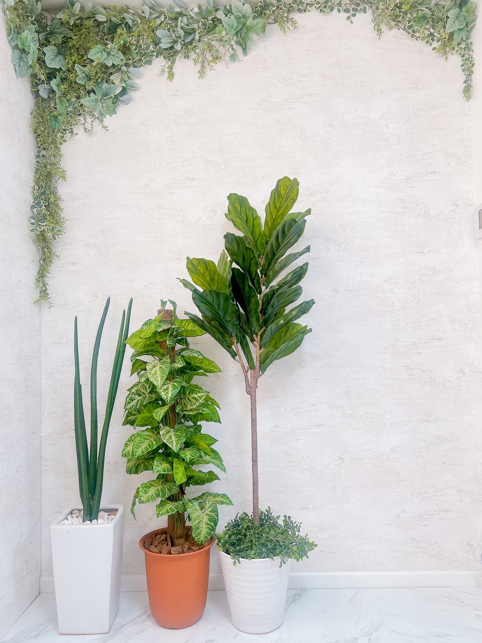 【多面スタジオ】馬喰横山駅から徒歩1分の撮影スタジオの写真4