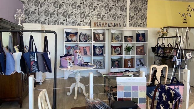 一宮市猿海道 レンタルスペース ハグペットギャラリーの写真23