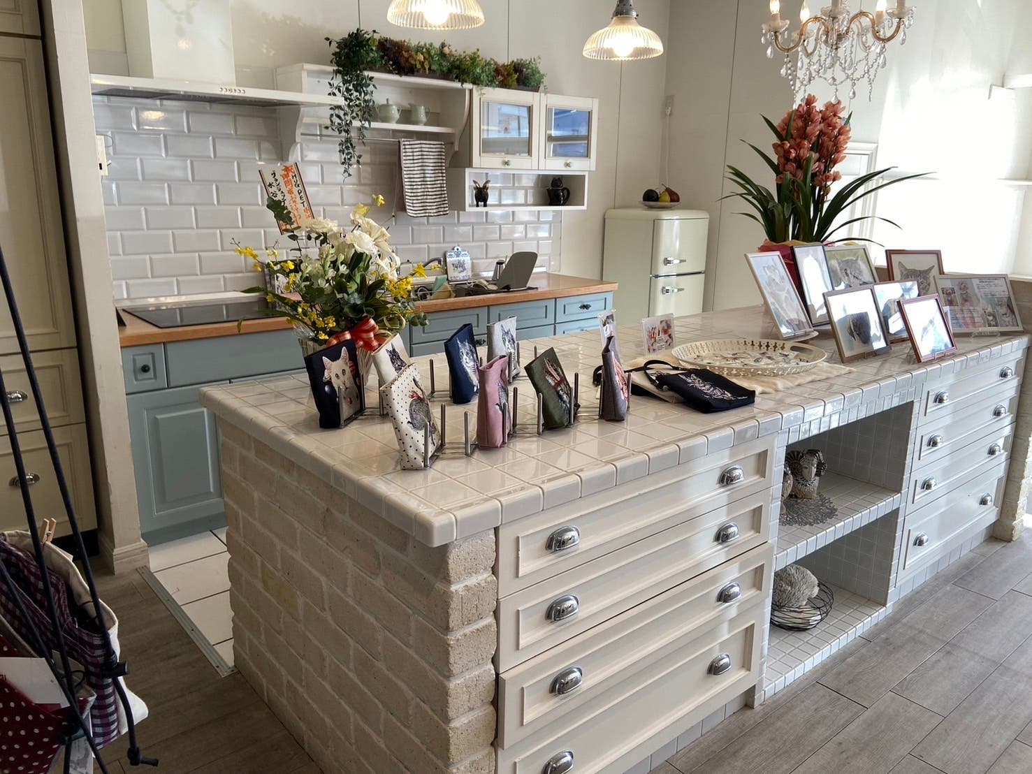 一宮市猿海道　レンタルスペース　ハグペットギャラリーの写真24