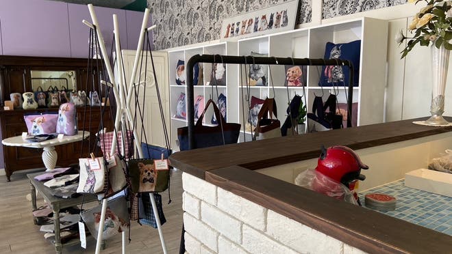 一宮市猿海道 レンタルスペース ハグペットギャラリーの写真28