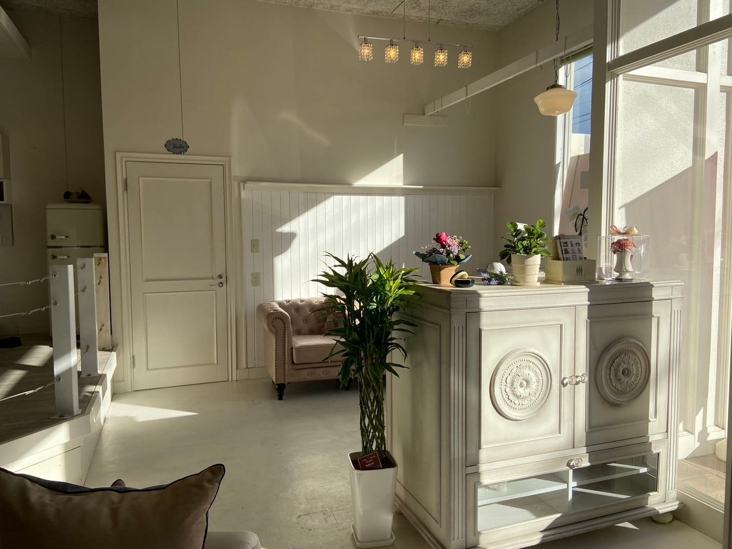 一宮市猿海道　レンタルスペース　ハグペットギャラリーの写真25