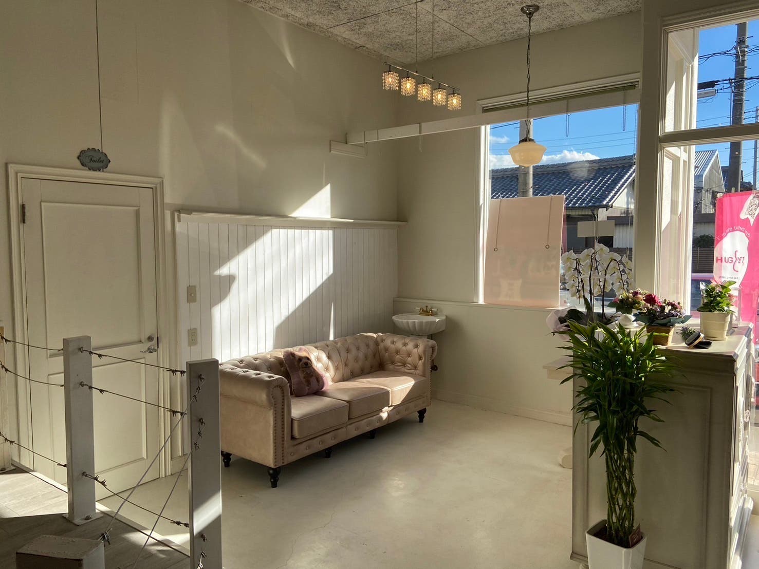 一宮市猿海道　レンタルスペース　ハグペットギャラリーの写真26