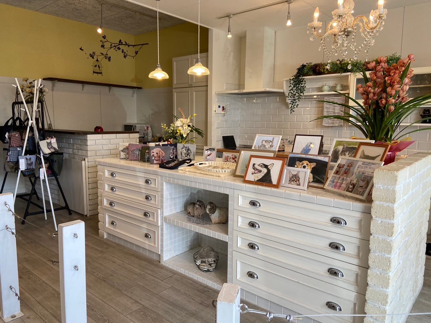 一宮市猿海道　レンタルスペース　ハグペットギャラリーの写真21