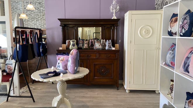 一宮市猿海道 レンタルスペース ハグペットギャラリーの写真20