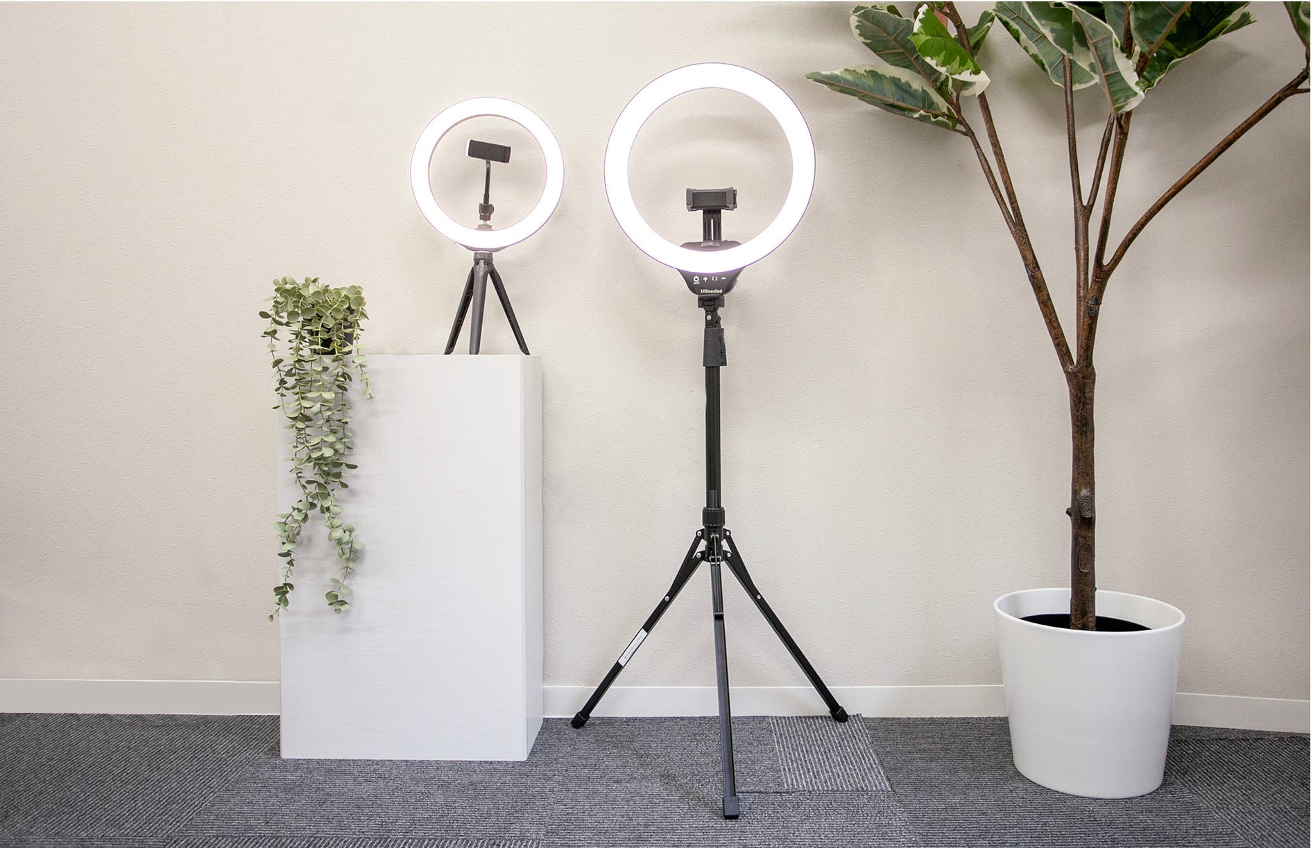 仲御徒町駅2分✨上野駅３出口3分✨御徒町駅北口３分✨１フロアー１ルーム１階🍀20名🍀会議・ボドゲ・施術ベッド２🍀1日プラン有✨の写真10