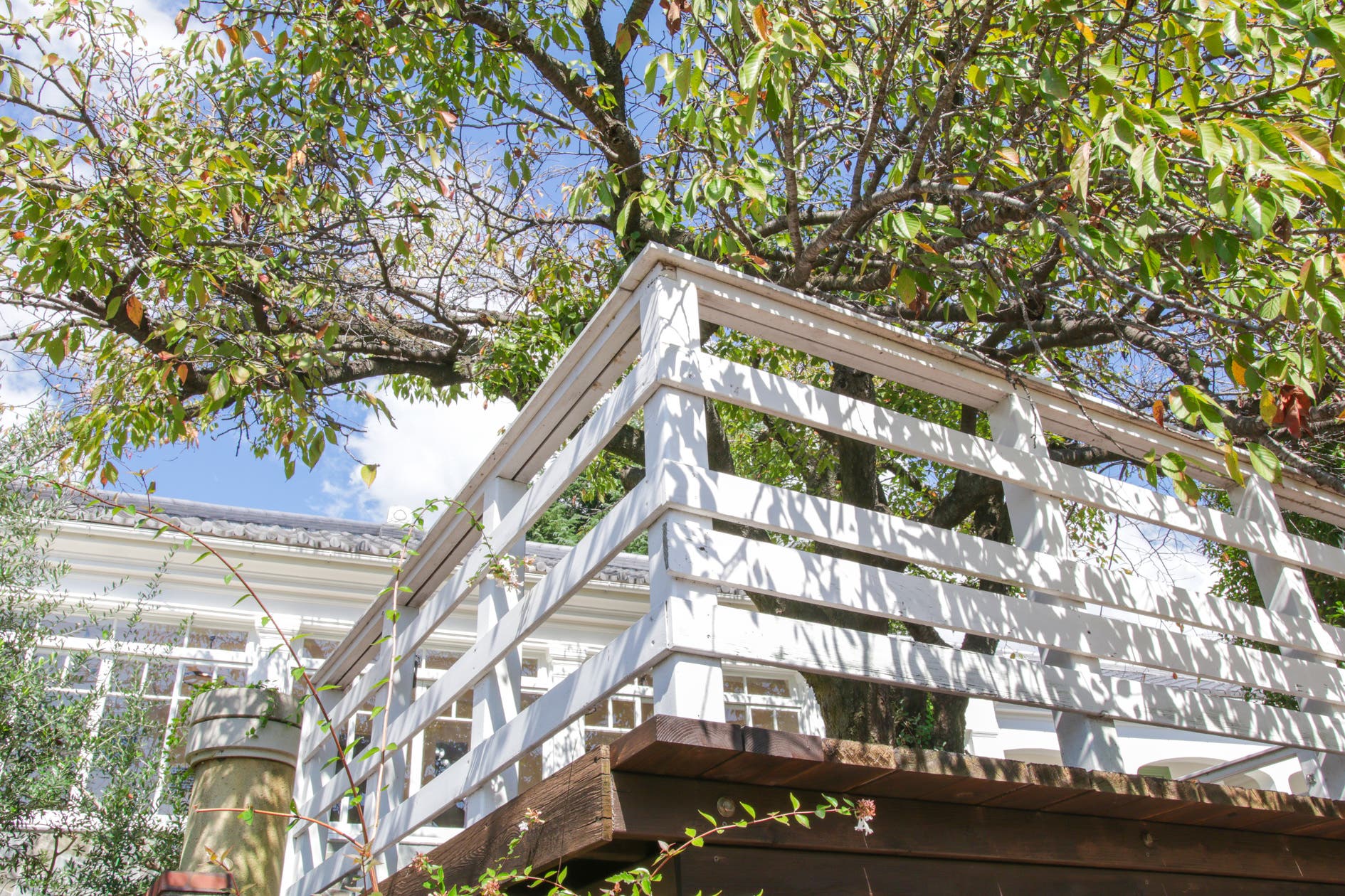 神戸 北野エリアにある異人館の歴史的建造物で特別な体験を～「神戸北野美術館」を貸切でフォトスペース・スタジオ利用！の写真15