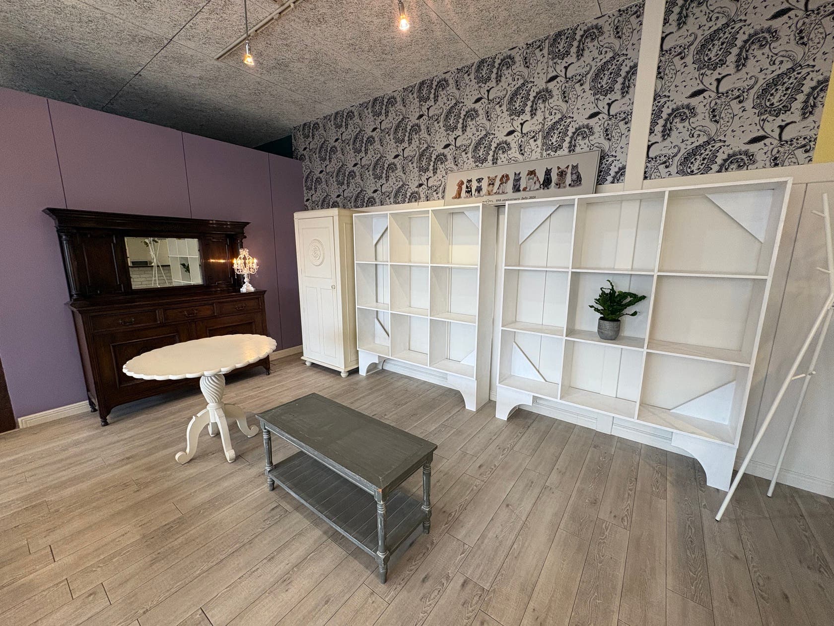 一宮市猿海道　レンタルスペース　ハグペットギャラリーの写真8