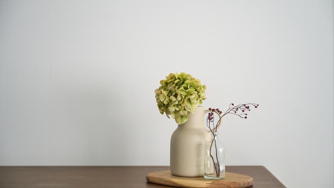 【ブルーサイドstudio】自然光×白壁×モルタル床 | ファッション・モノ系に最適 | 品川エリアの写真13