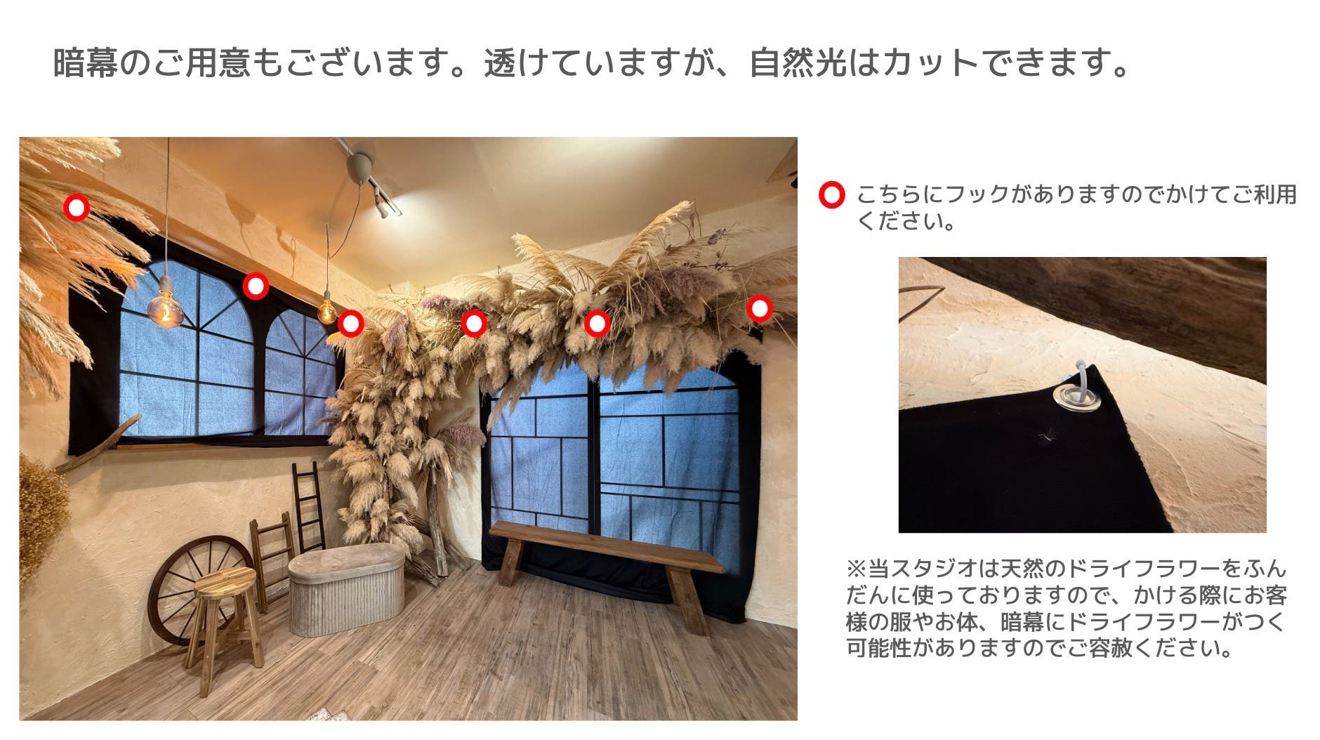 【2024ベストホスト運営】🍁リニューアル🍁 超巨大ドライフラワー｜砂浜｜自然光｜ペット撮影可｜機材無料の写真29