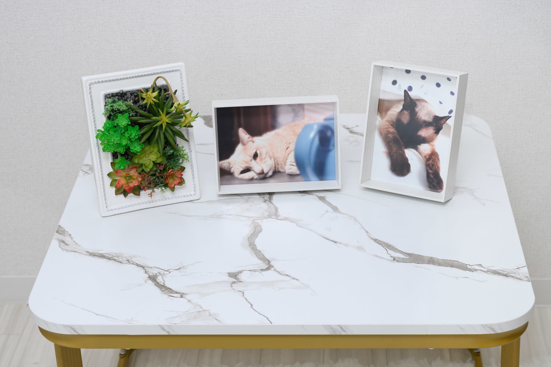 大人可愛い💕猫好き必見👀の空間でゆったり☕の写真26