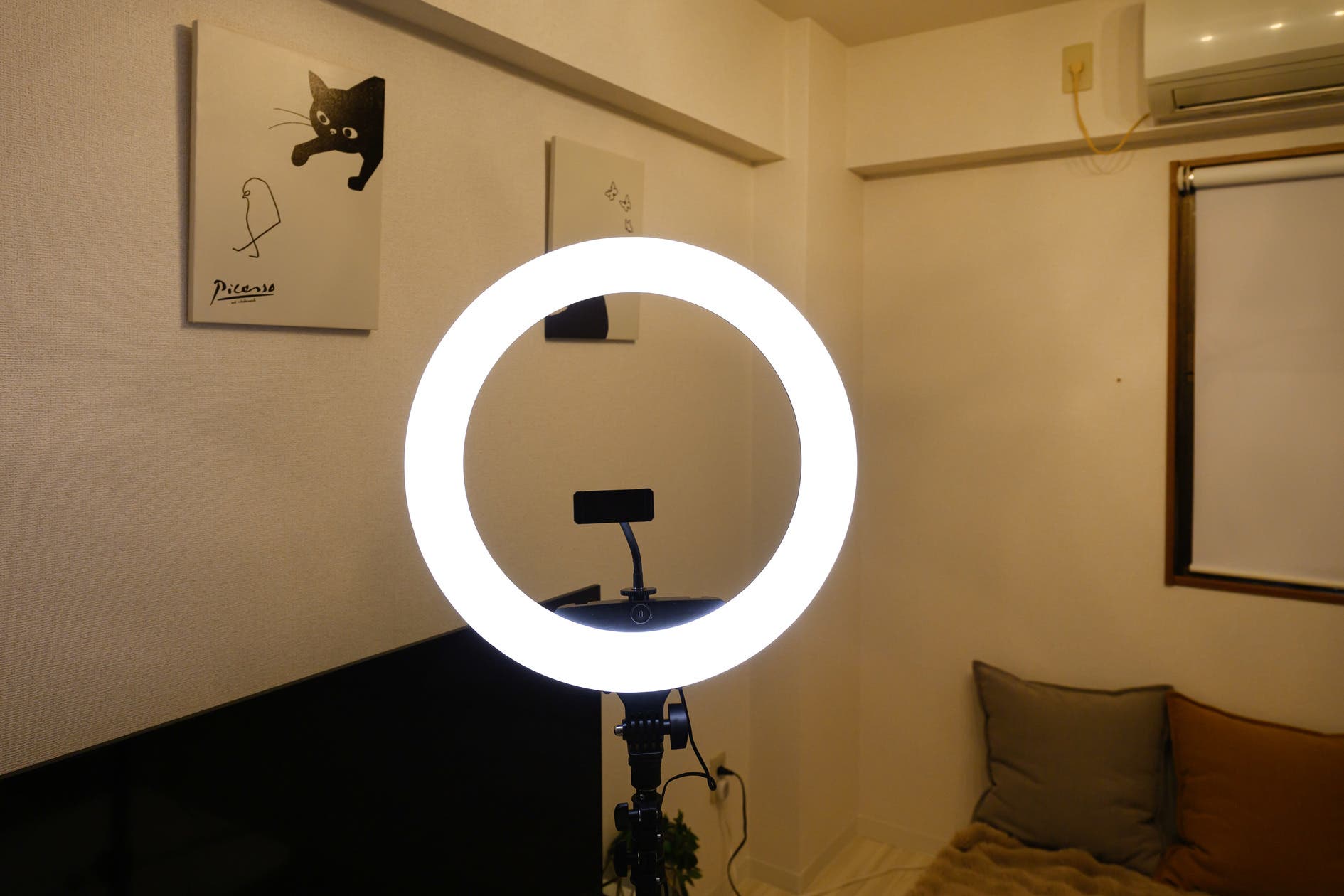 大人可愛い💕猫好き必見👀の空間でゆったり☕の写真30