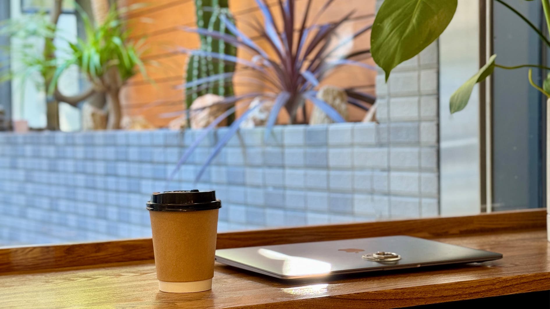 【個室ブース2】コーヒー無料☕️/高速Wi-Fi/専用コンセント/駅近5分 隠れ家カフェラウンジの写真8