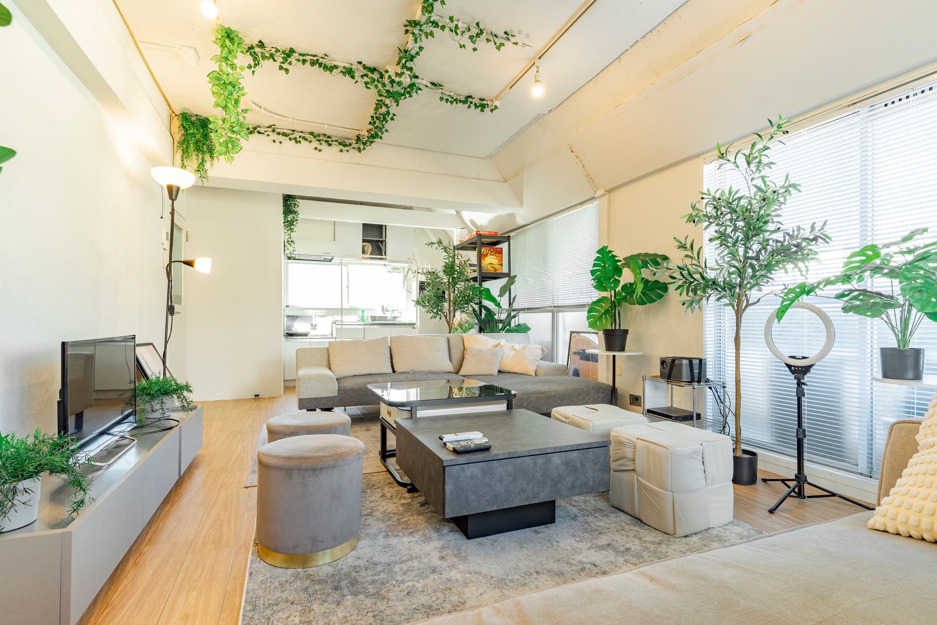 池袋駅徒歩5分🚶‍♂️最大12名◎交流会・懇親会に最適✨女子会・推し活・忘年会🍷映画鑑賞🎥コスプレ撮影📷クリスマス🎄の写真11